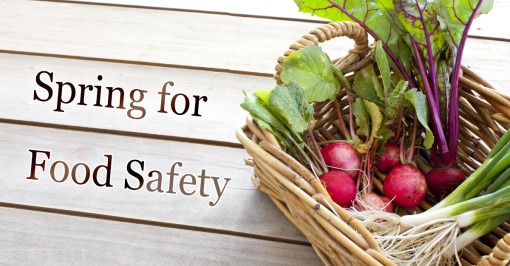 Spring for Food Safety | Blog