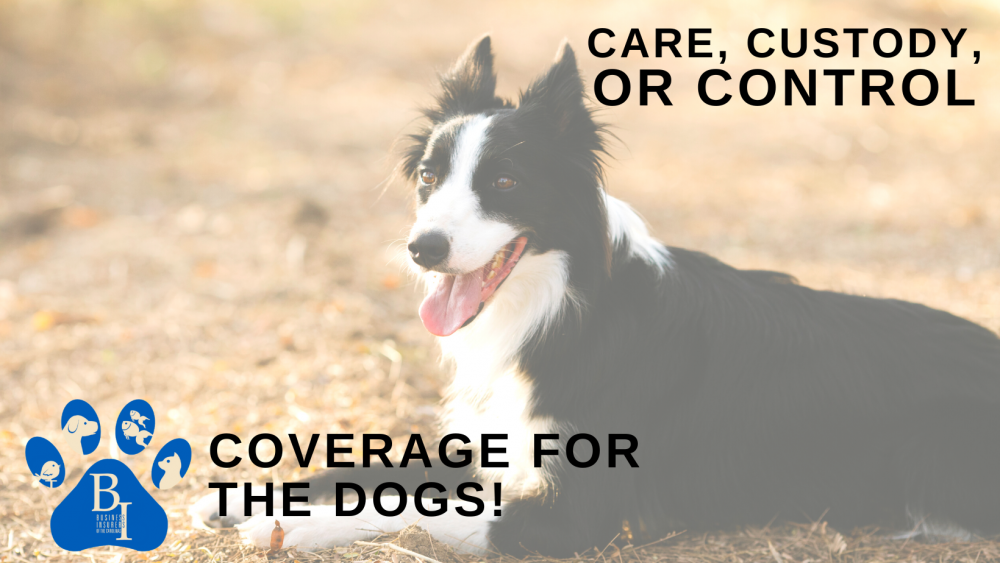 Care, Custody or Control - Coverage for the Dogs! | Blog