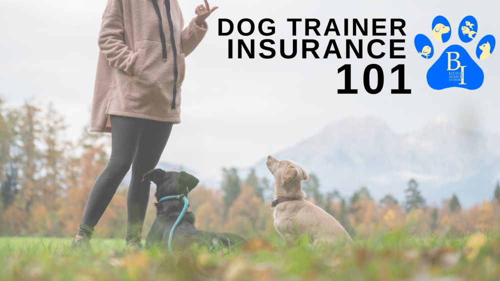 Dog Trainer Insurance 101 | Blog