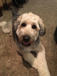 Company Directory Linville Insurance Agency - Richmond, Kentucky 40475